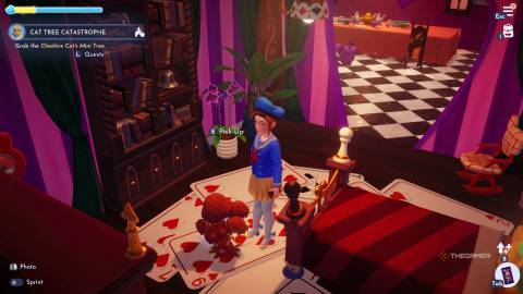 catastrophe cat tree