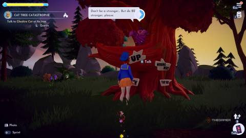 catastrophe cat tree