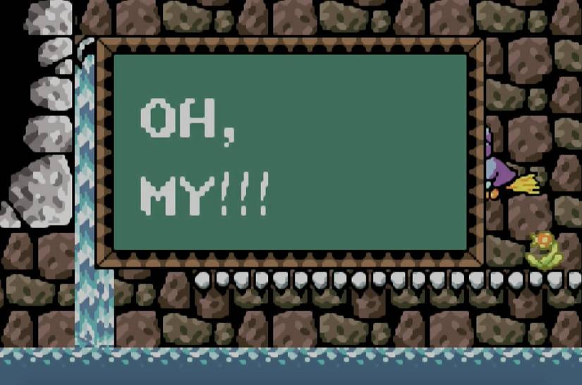 Mario Bros: 25 Tricks From The Franchise You Had No Idea About