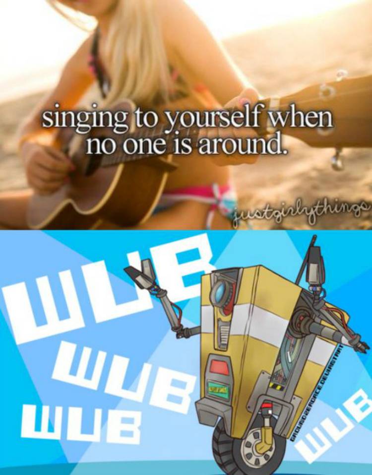 Borderlands Memes That Are Too Hilarious For Words