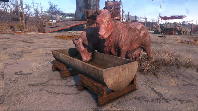 The Most Delicious Food To Eat In The Fallout Series