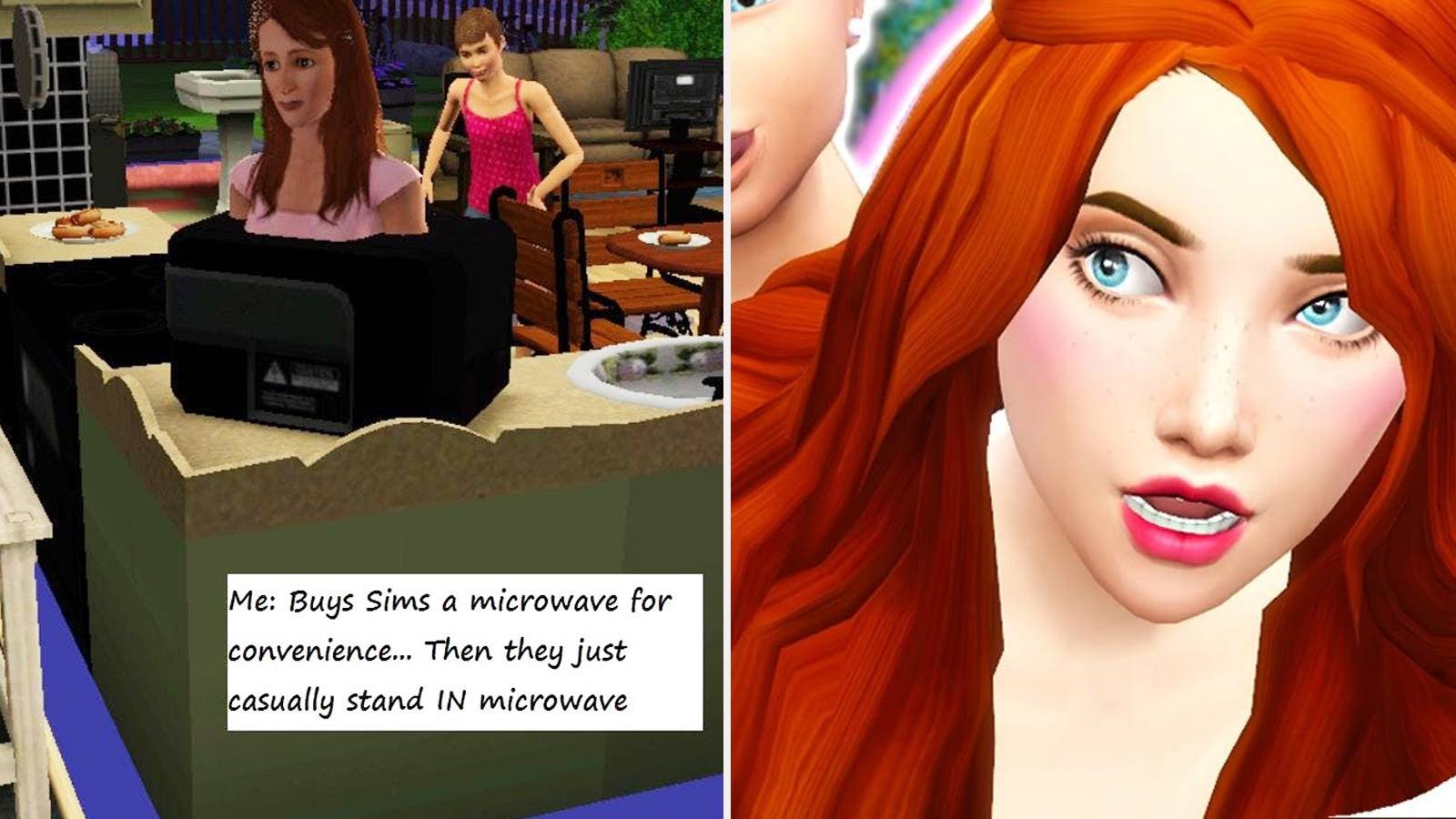 Hilarious The Sims Memes Only True Fans Will Understand