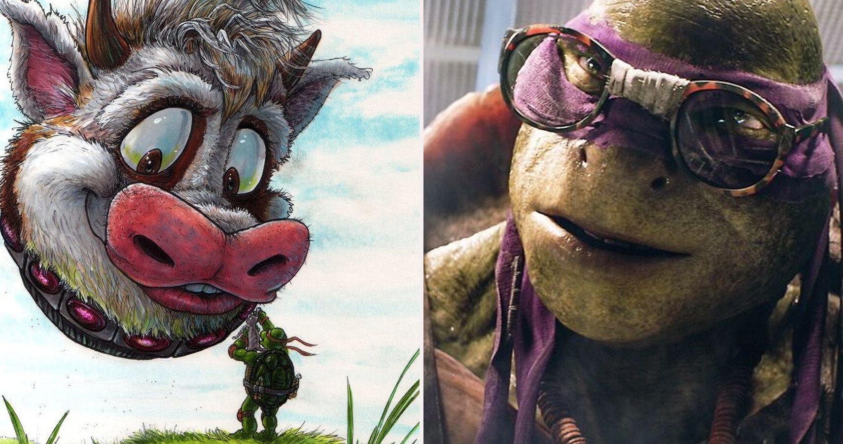Tmnt Ninja Turtles Funny