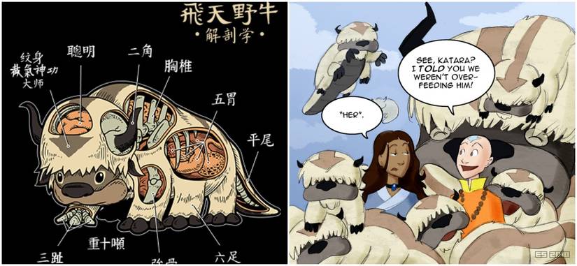 20 Things You Didn’t Know About Appa From Avatar: The Last Airbender