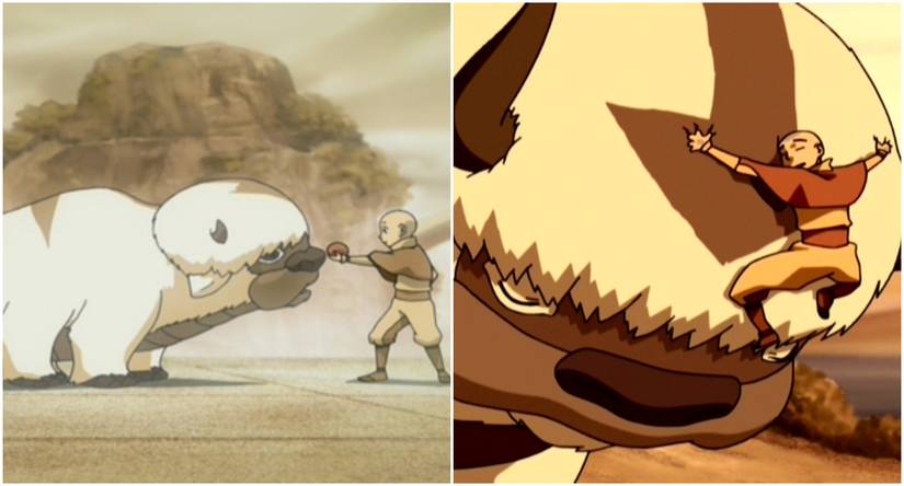 20 Things You Didn’t Know About Appa From Avatar: The Last Airbender