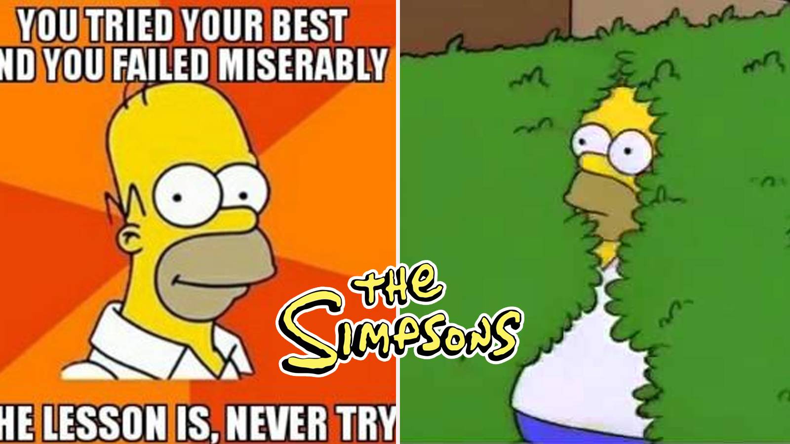 20 Simpsons Memes That Are Too Hilarious For Words