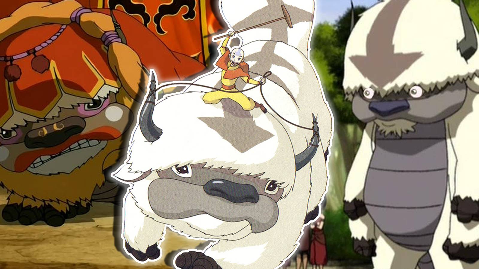 20 Things You Didn’t Know About Appa From Avatar: The Last Airbender