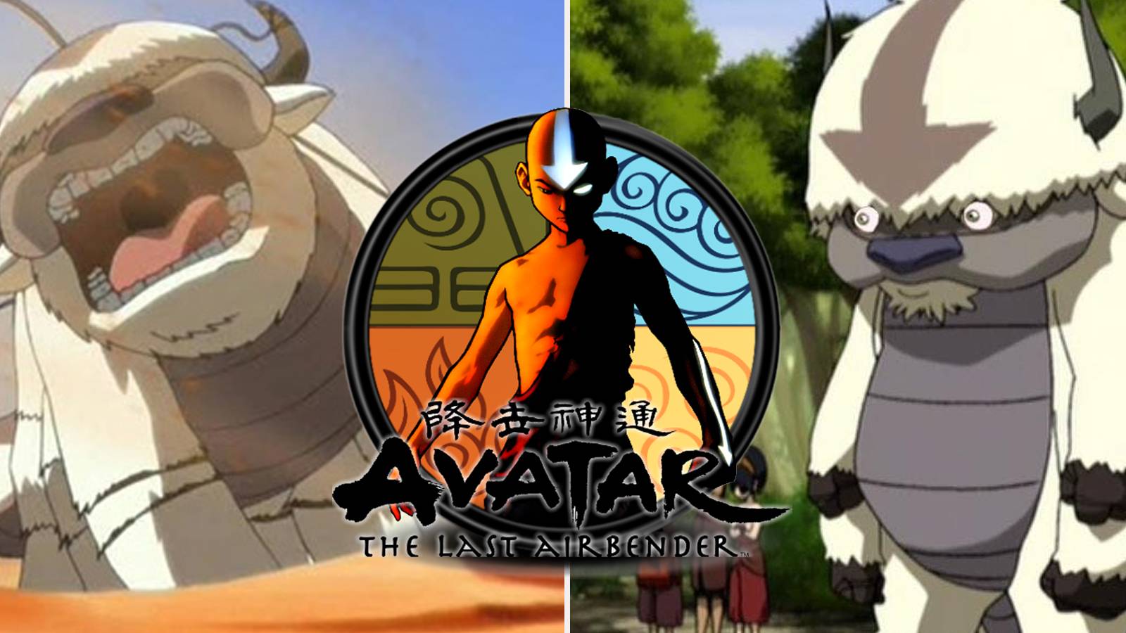 20 Things You Didn’t Know About Appa From Avatar: The Last Airbender