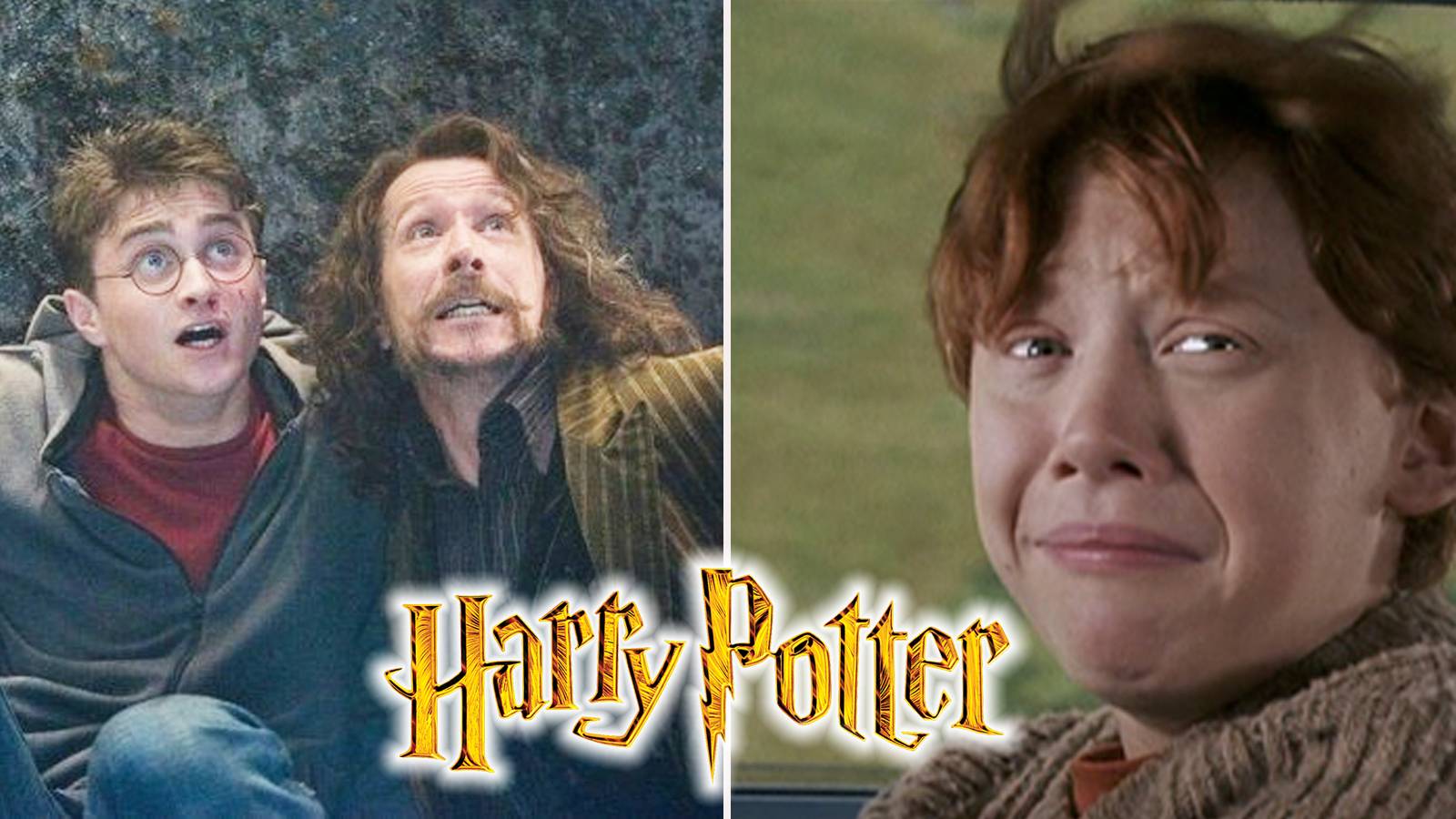 25 Incredible Harry Potter Fan Theories (That Actually Got Confirmed)