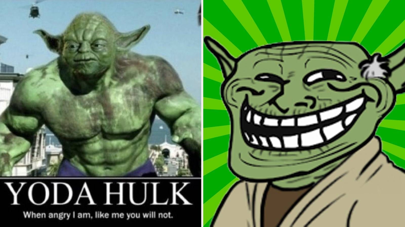 Star Wars: 25 Hilarious Yoda Memes We Never Saw Coming