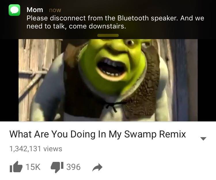 Get Shrekt: 25 Hilarious Shrek Memes Only True Fans Will Understand