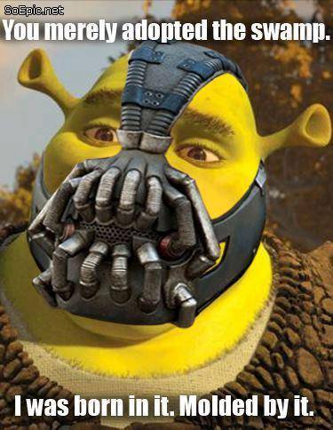 Get Shrekt: 25 Hilarious Shrek Memes Only True Fans Will Understand