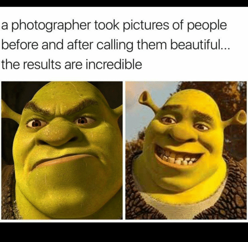 Get Shrekt: 25 Hilarious Shrek Memes Only True Fans Will Understand