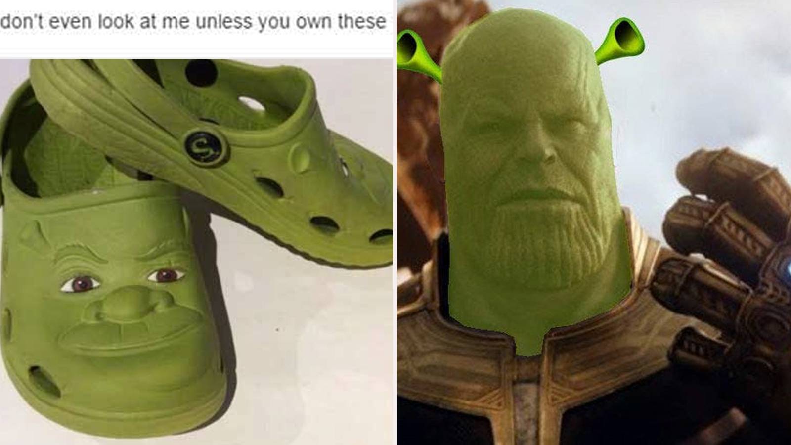 Get Shrekt: 25 Hilarious Shrek Memes Only True Fans Will Understand