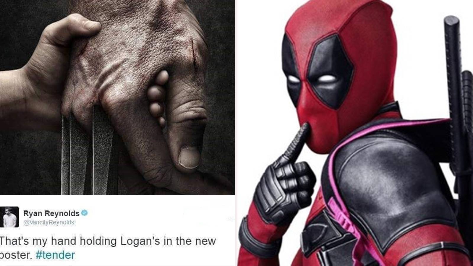 25 Hilarious Deadpool Vs. Wolverine Memes Only True Fans Will Understand