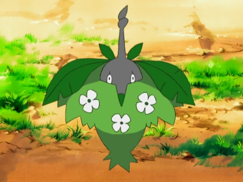 wormadam evolution line