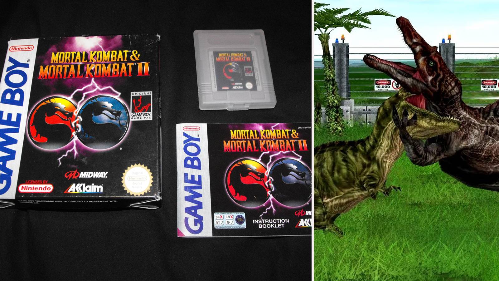 The 30 Rarest Video Games Ever (And How Much They’re Worth)