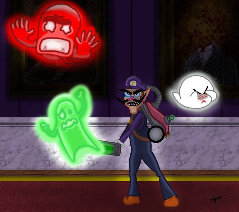 waluigi reflection