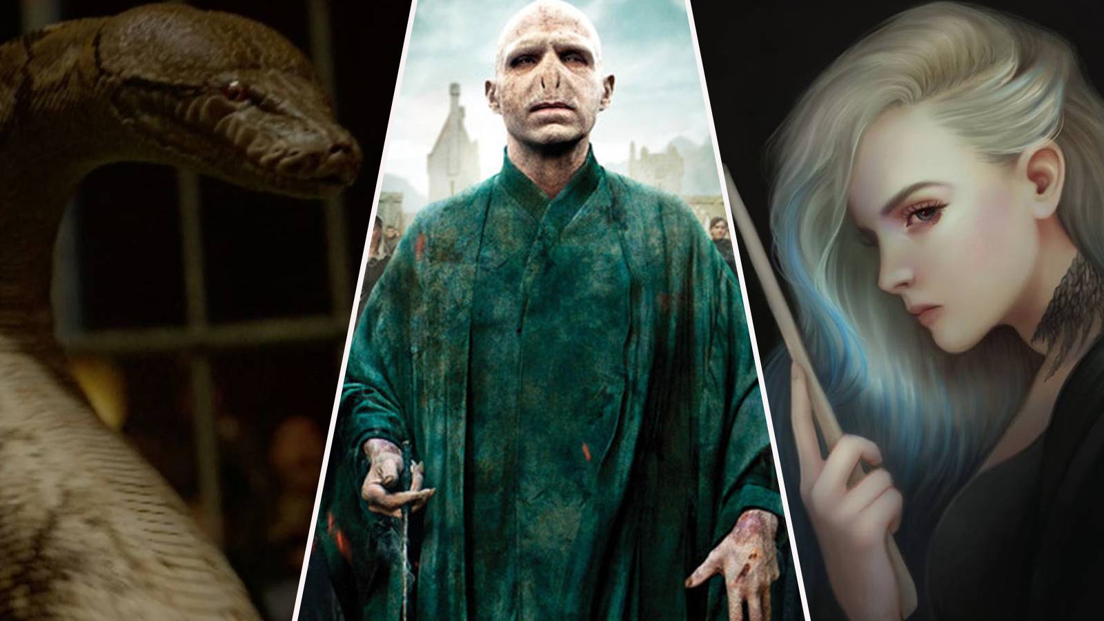 Harry Potter: 25 Hidden Details About Voldemort's Daughter, Delphini