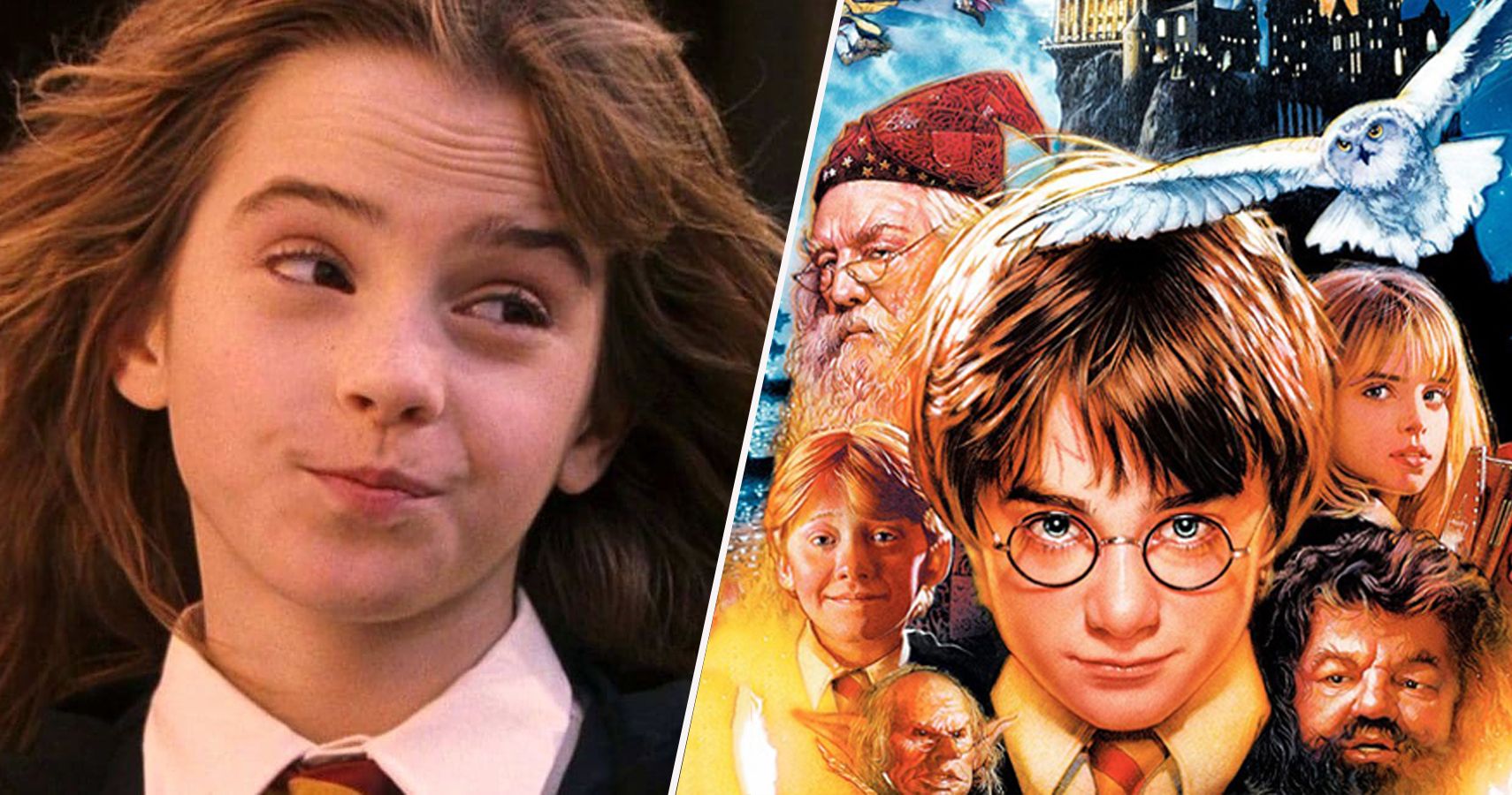 25 Weird Mistakes In The Harry Potter Series Only True Fans Noticed
