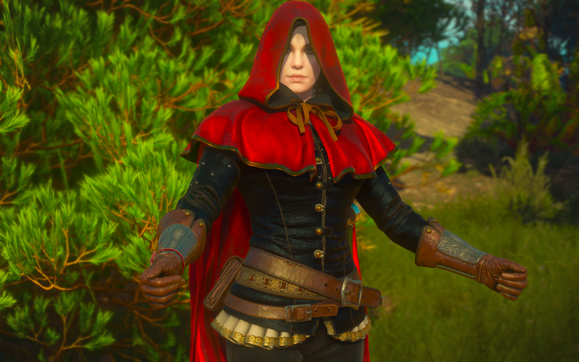 The Witcher 3: 10 Details Everyone Completely Missed About Syanna From ...