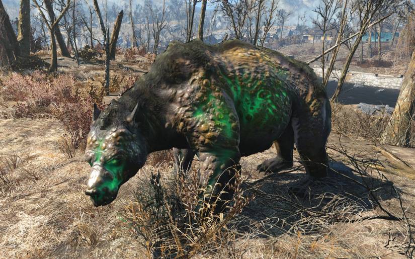 The Most Delicious Food To Eat In The Fallout Series