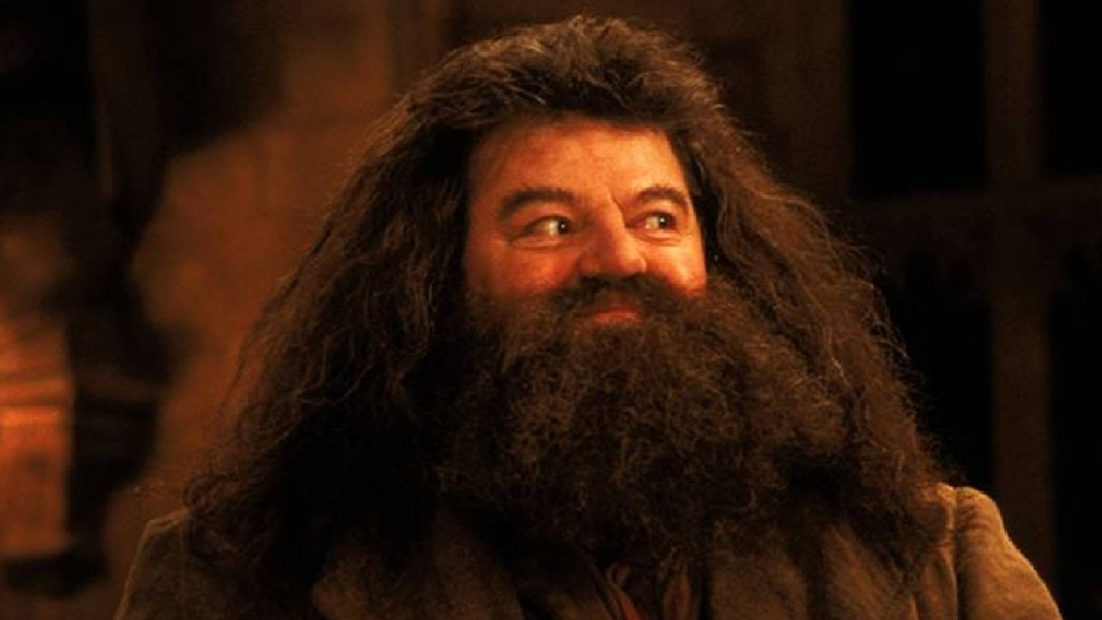 Harry Potter: 25 Weird Things About Hagrid Only Super Fans Know