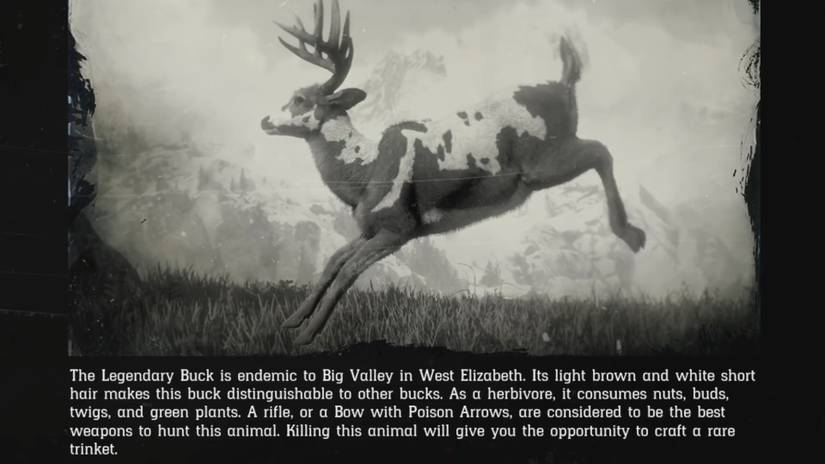 Legendary Buck: How To Hunt, Kill, And Skin It In Red Dead Redemption 2