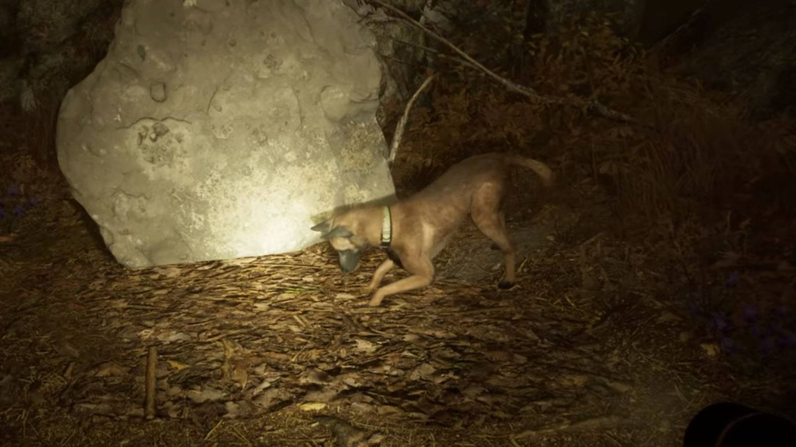 Blair Witch Gameplay Trailer: Yes, You Can Pet The Dog