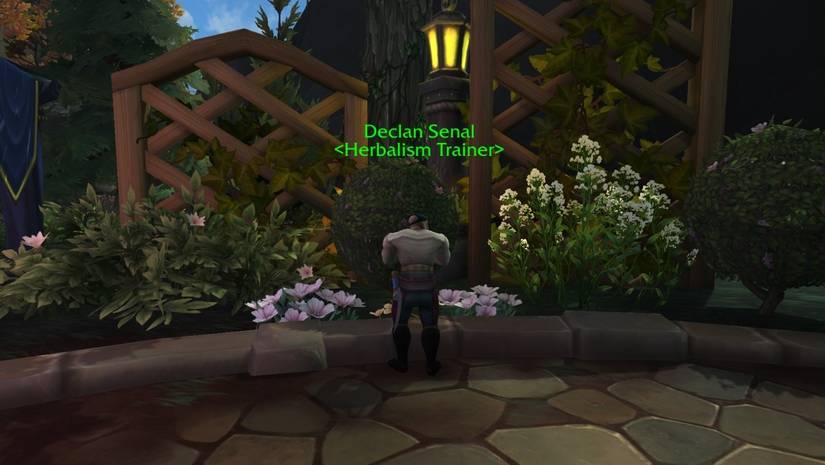 World Of Warcraft Classic Profession Guide: Herbalism