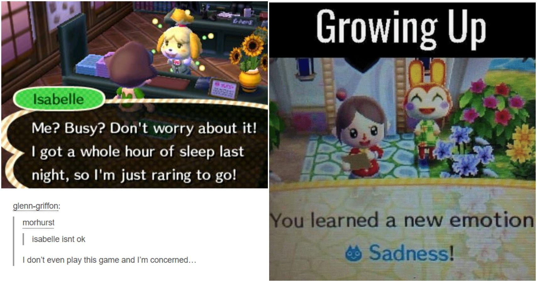 Animal Crossing Dorpelingen Memes