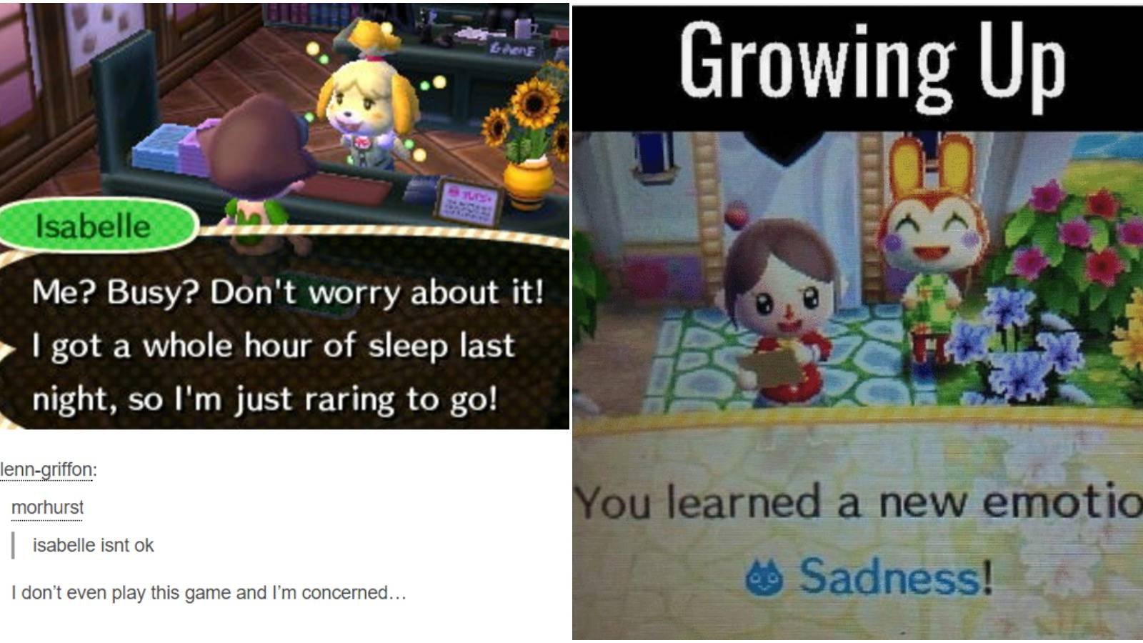 Animal Crossing Meme