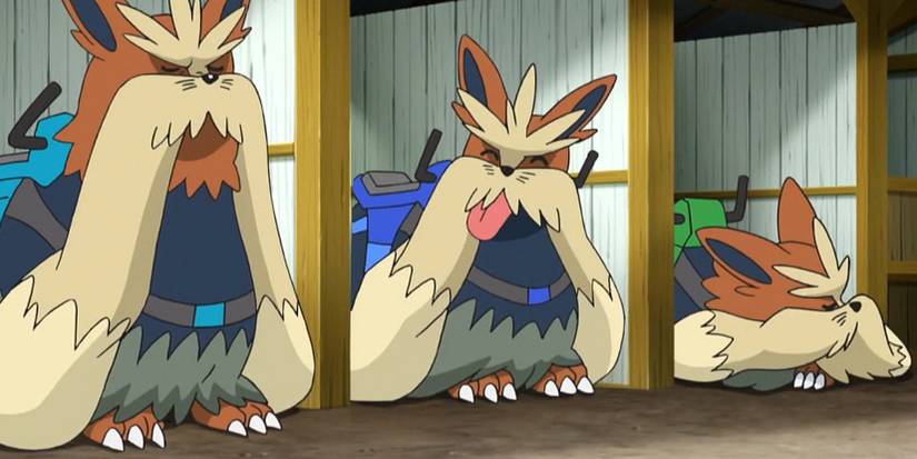 The Most Memorable Facial Hair In Pokemon