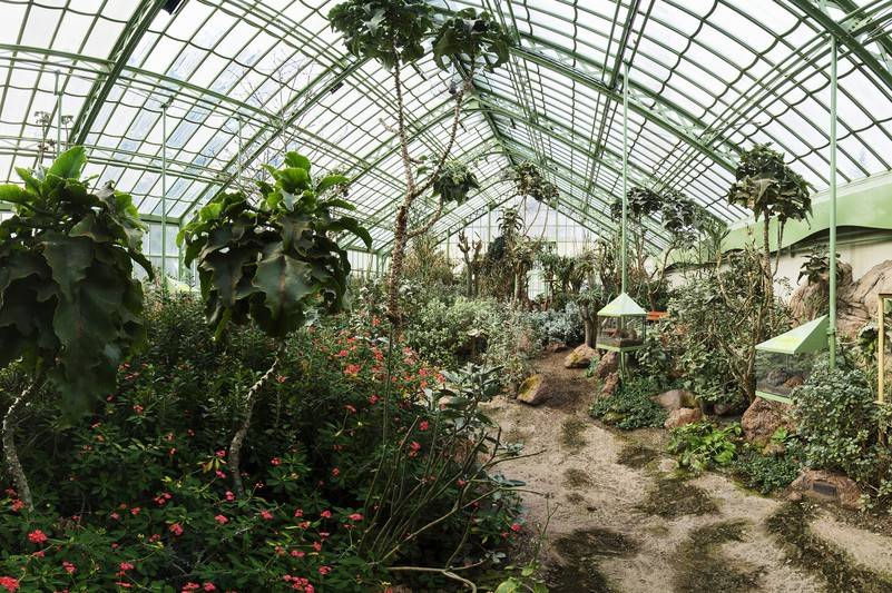 10 Real-Life Zoos To Use As Inspiration For Planet Zoo