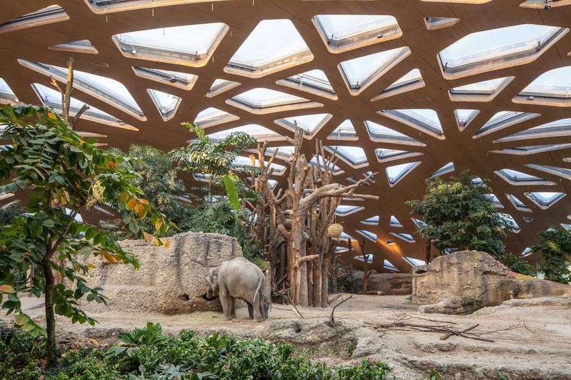 10 Real-Life Zoos To Use As Inspiration For Planet Zoo