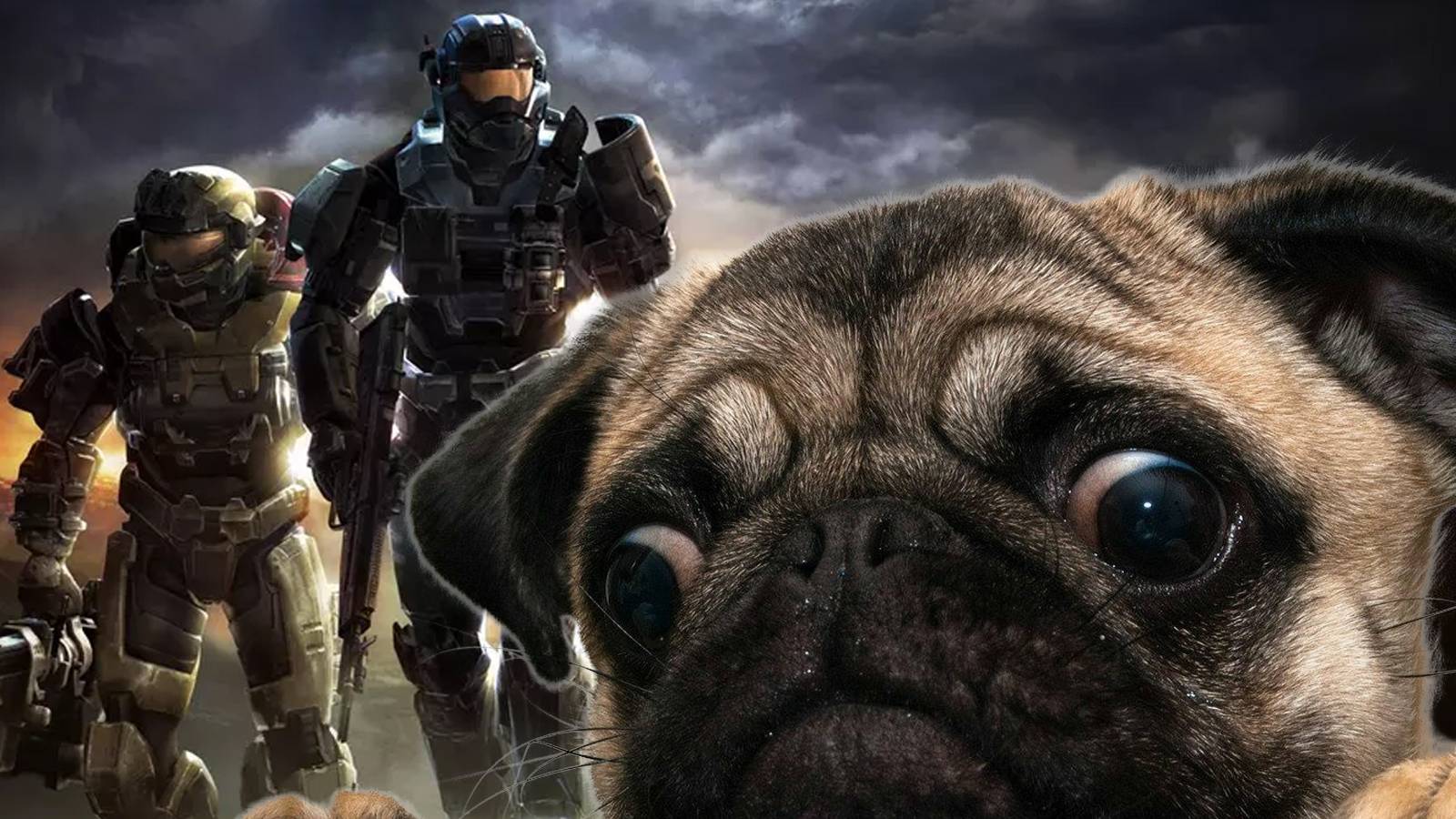 What A Good Boy: A Pug Helped Make Halo Infinite's Sounds Possible