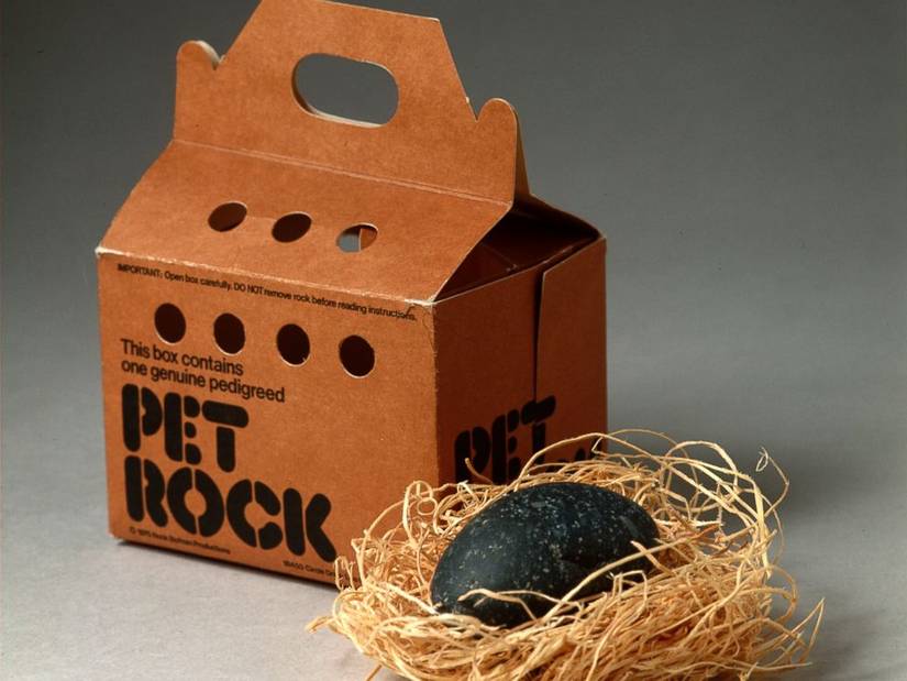Streamer Reaches Twitch Affiliate After Streaming Pet Rock