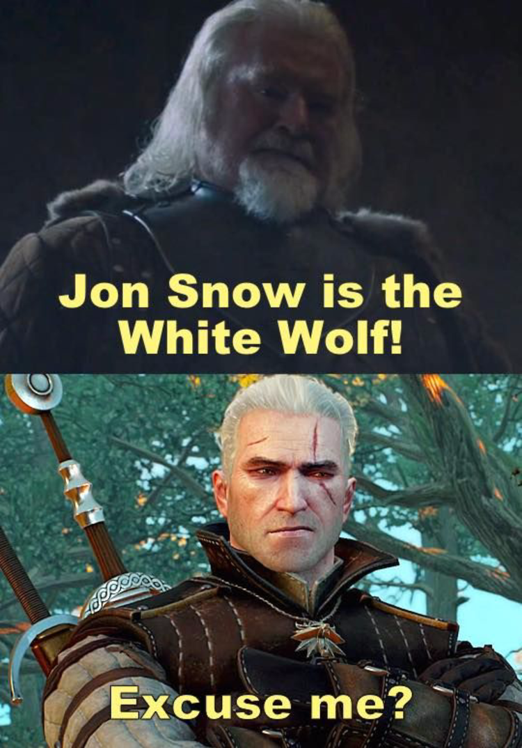 The Witcher 3: 10 Hilarious Memes Only True Fans Understand