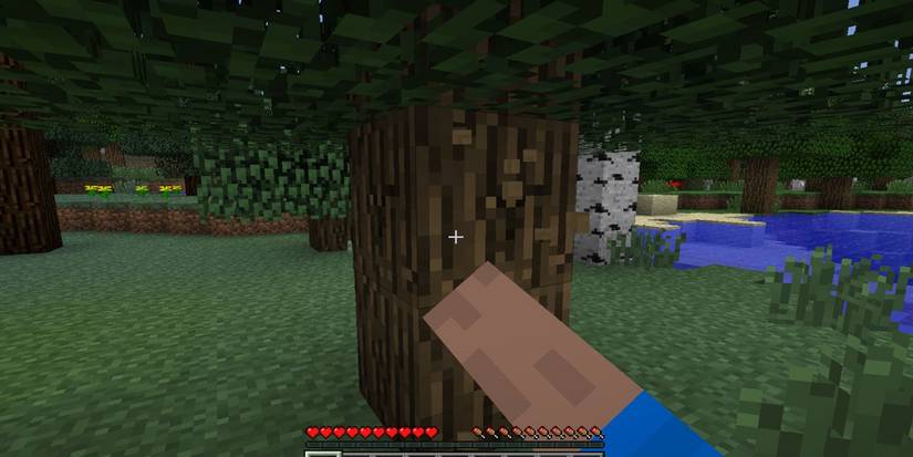 Things Beginners Should Do First When Starting Minecraft