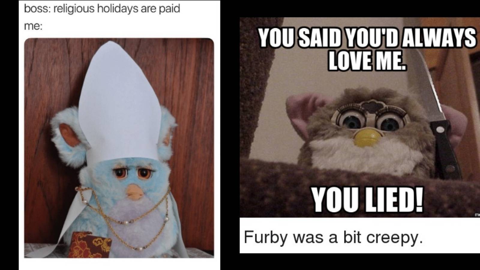 10 Best Furby Memes