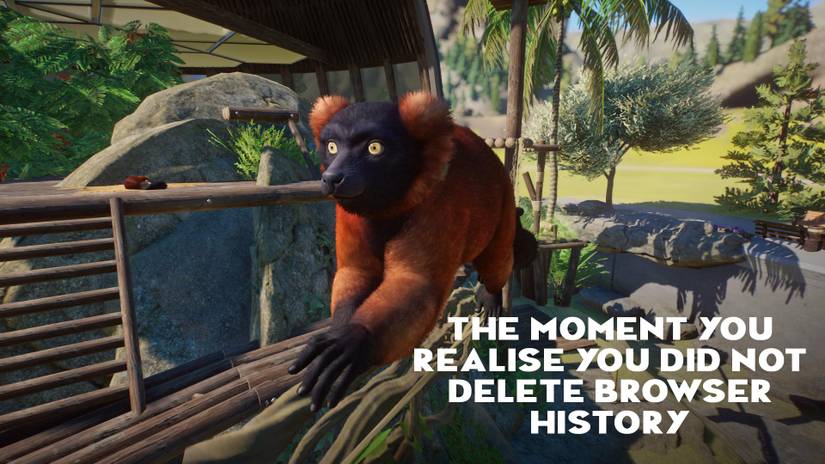10 Hilarious Planet Zoo Memes Only True Fans Will Understand