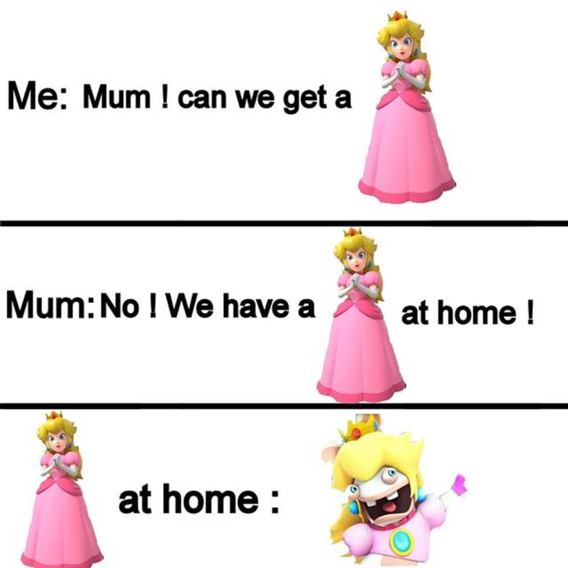 Mario: 10 Hilarious Princess Peach Memes Only True Fans Will Understand