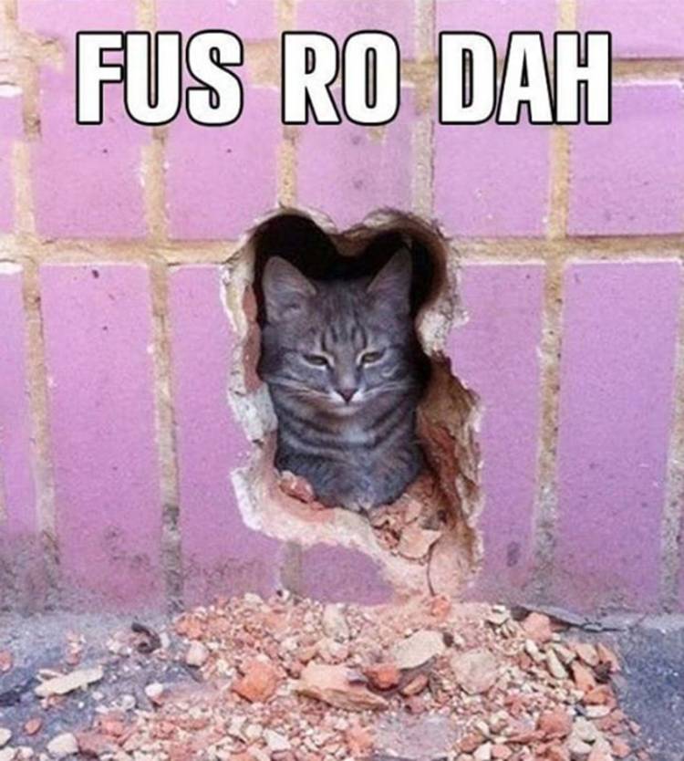 Skyrim: 10 Khajiit Memes That Are Too Hilarious For Words
