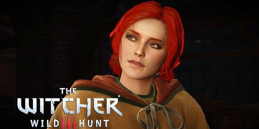 The Witcher: Dungeons & Dragon Moral Alignments Of Main Characters