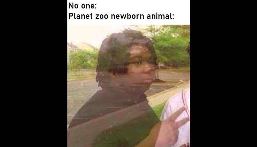 10 Hilarious Planet Zoo Memes Only True Fans Will Understand