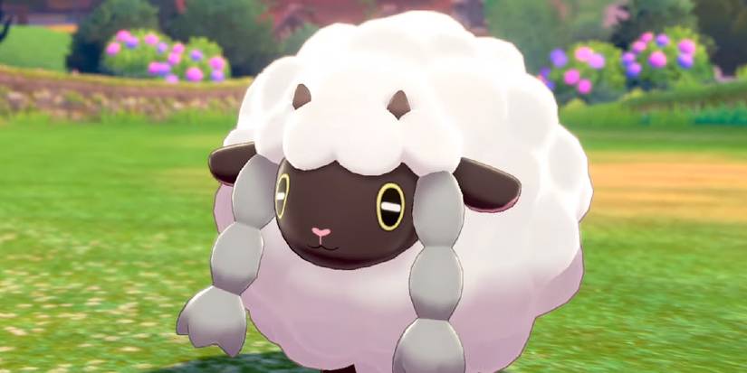 Pokémon Sword & Shield: The 10 Best Base Forms Of Evolutionary Lines ...