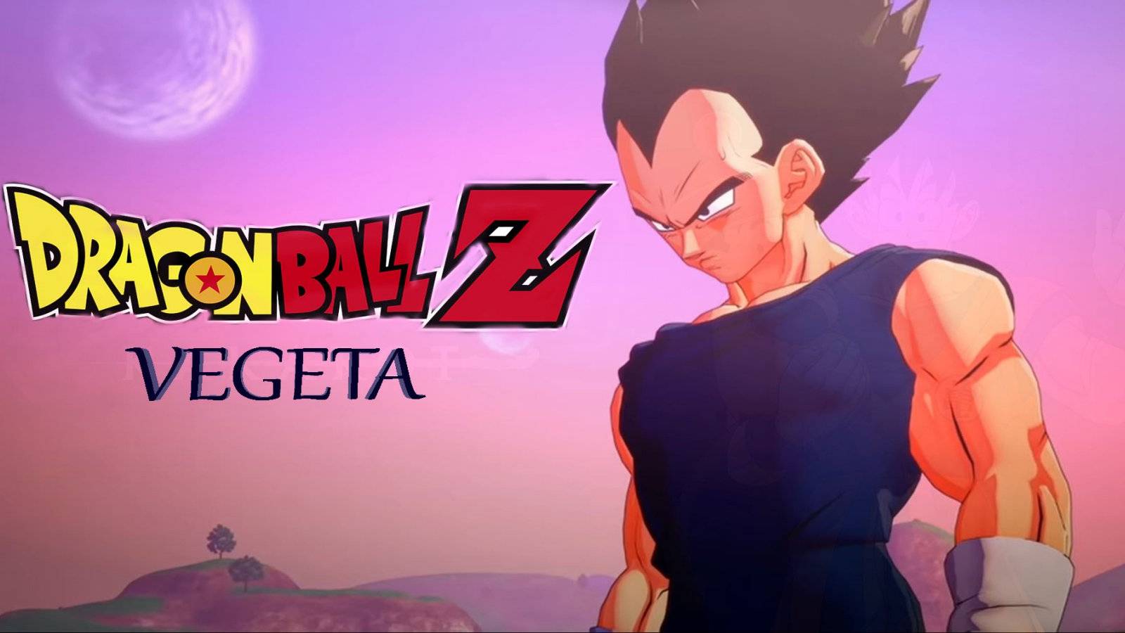 Dbz Vegeta Sprites Figure Rise Standard Vegeta (NEW SPEC Ver.) Now On