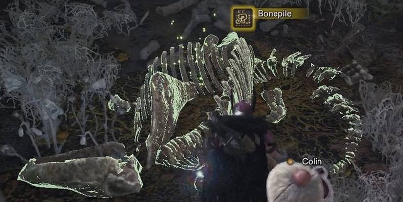 10 Best Places To Find Boulder Bone In Monster Hunter World