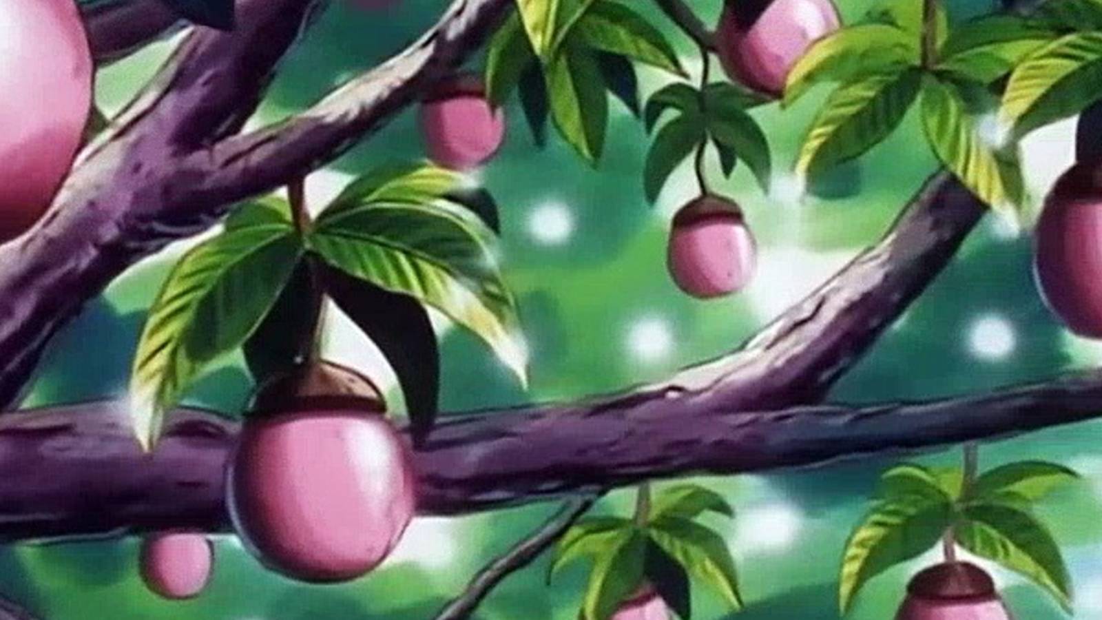 Pokémon: The Ideal Pokémon To Use Each Apricorn Ball On (& The Worst)