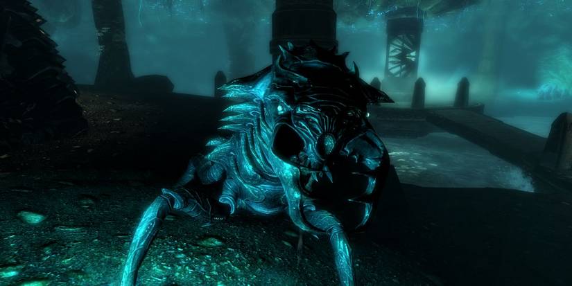 Skyrim: 10 Things You Didn't Know About The Falmer